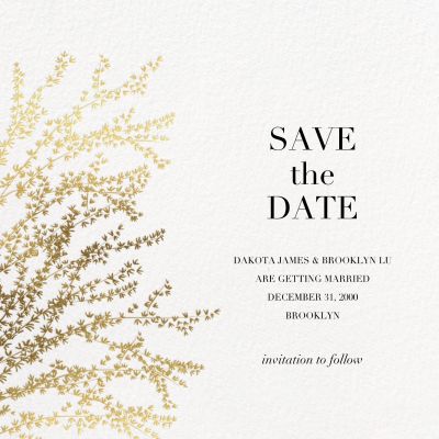 Save the Dates & Invitation Templates | Paperless Post