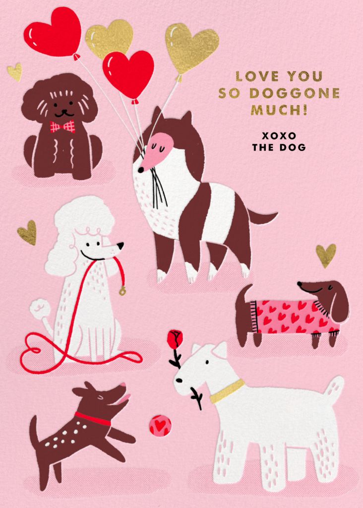 Doggone Much - Valentine's Day Card | Send online instantly | Track opens