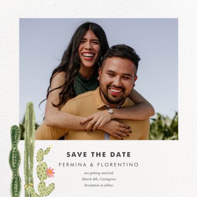 Destination Save the Dates | Send online instantly | Track opens