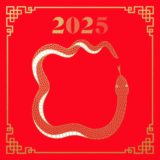 Jolly Snake | Send online instantly | Free tracking