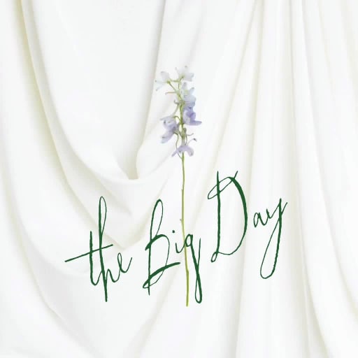 Big Day | Send online instantly | Free tracking