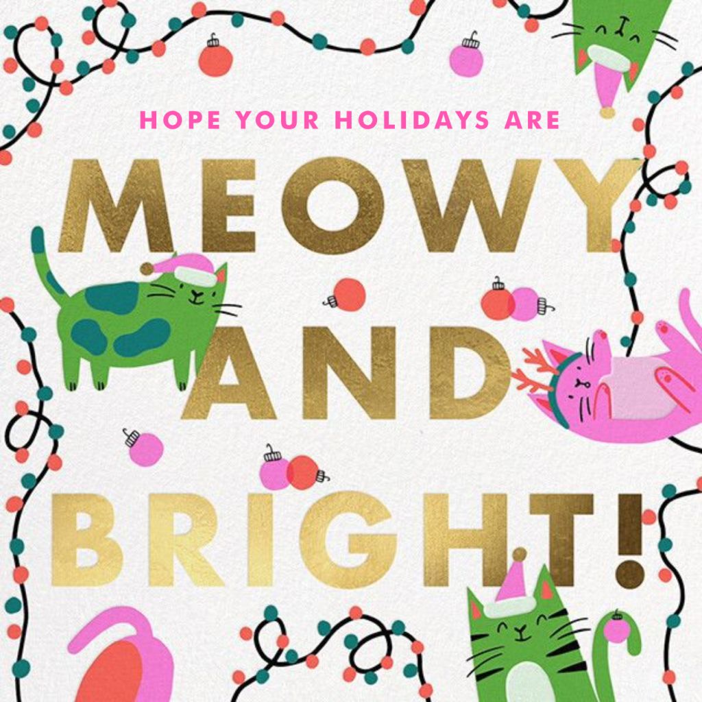 Bright Cats Card