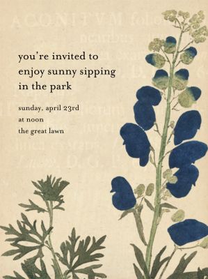 Spring Party Invitations | Send online instantly | RSVP tracking