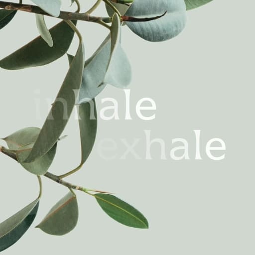 Inhale Exhale | Send online instantly | Free tracking